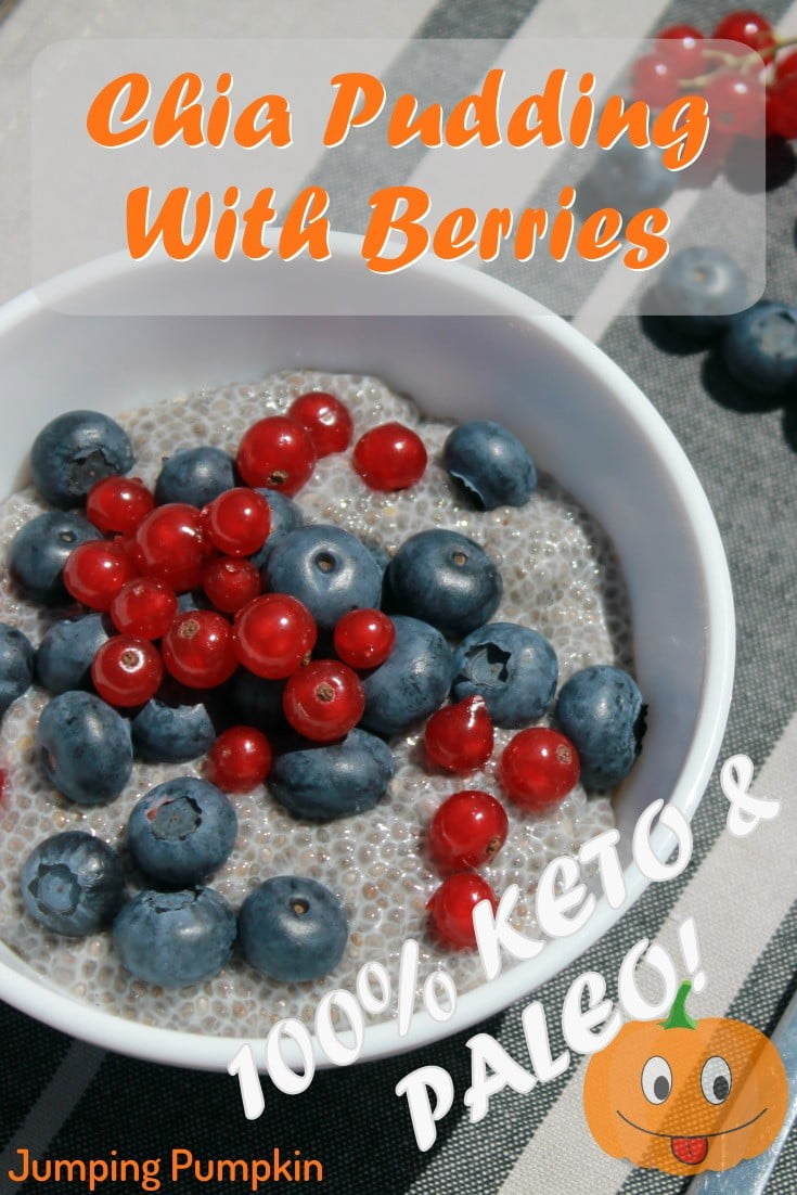 Chia Pudding - Jumping Pumpkin